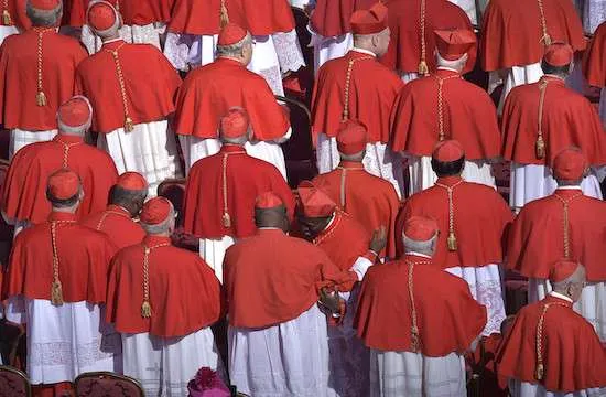 Robert Mickens – Francis’ cardinals are not all of the same flock ...