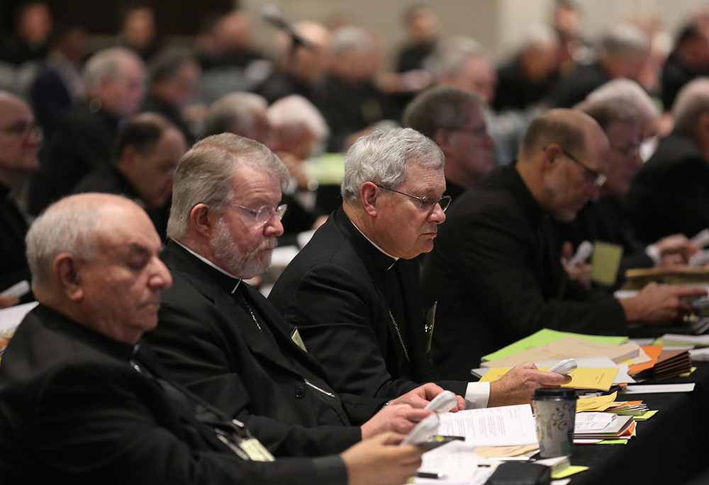 Michael Sean Winters – Will the US bishops stand by the poor? – Quaerens