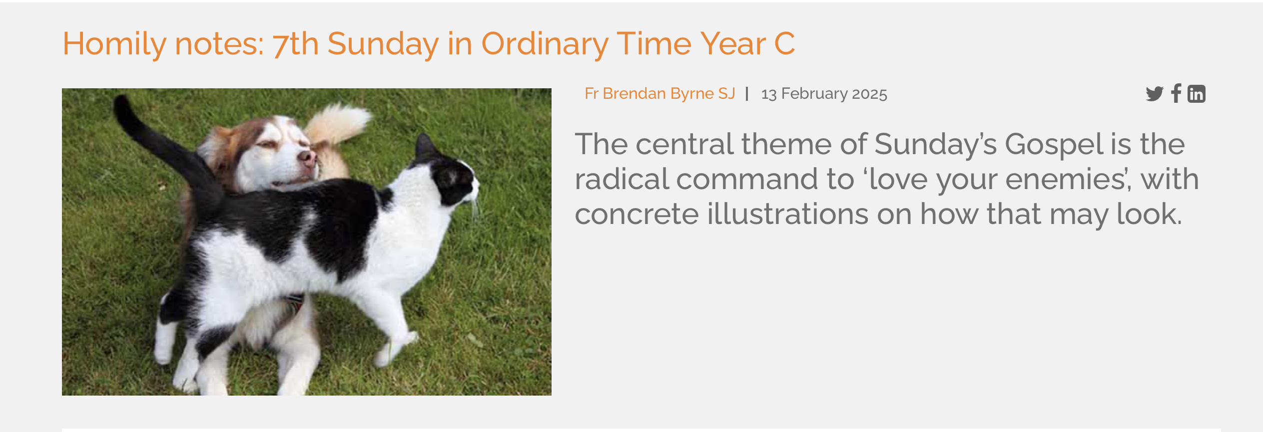 Fr Brendan Byrne SJ – Homily Notes for 7th Sunday Year C – Quaerens