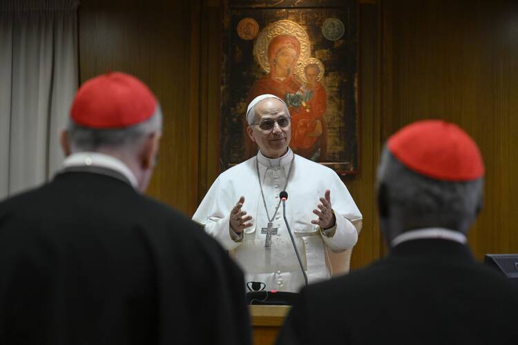 Sebastian Gomes – Pope Leo XIV’s message to the cardinals: Vatican II ...