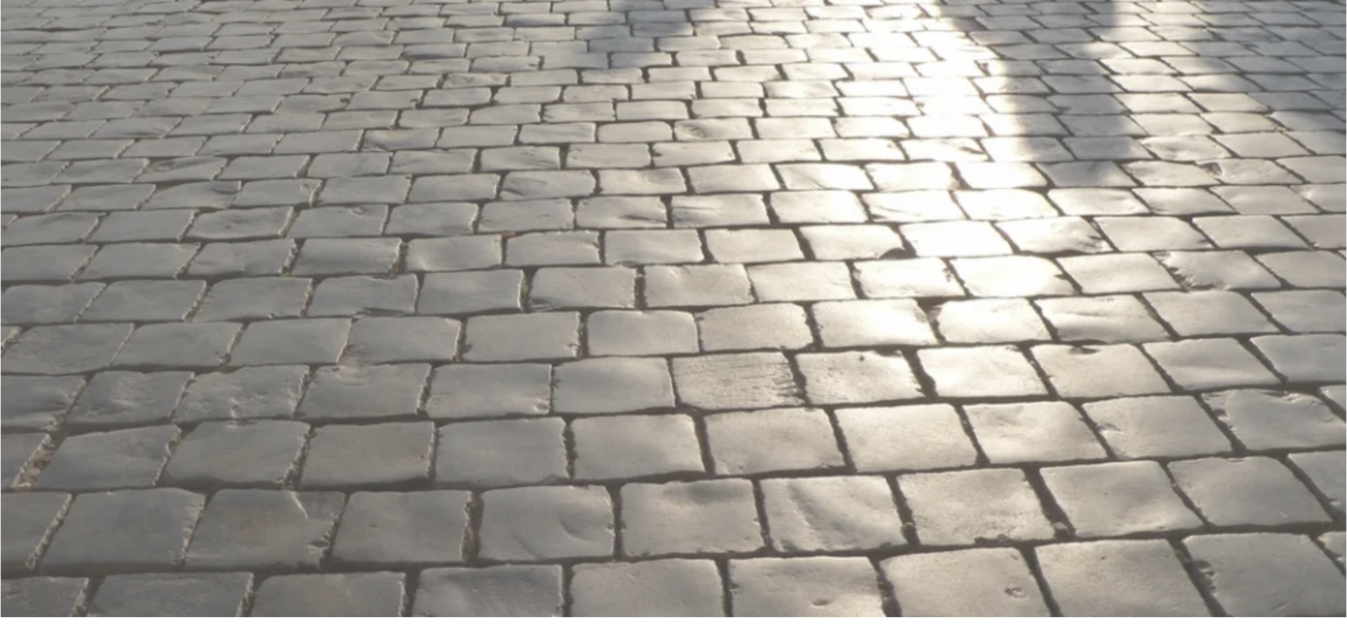 JOSÉ MANUEL VIDAL AND DAWN EDEN GOLDSTEIN – The American Origins of a ...